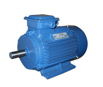 Euma Three-Phase Induction Motor Y2 Series 2P | NY Hardware Malaysia